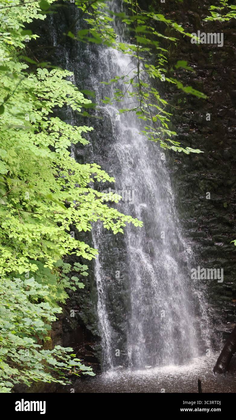 UK. 22nd July, 2025. Falling Foss waterfall, a stunning 30-foot ...
