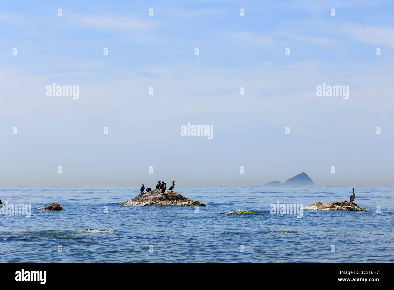 Cormorants on the rock in the sea, Marmara and Sivriada of Prince ...