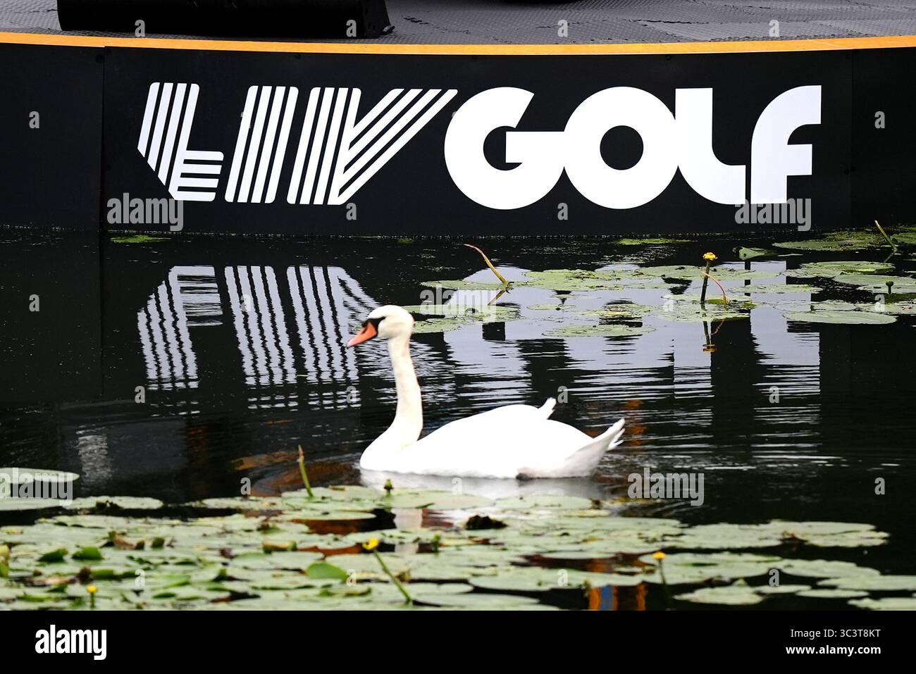 A swan swims past the LIV Golf signage at the JCB Golf and Country Club ...