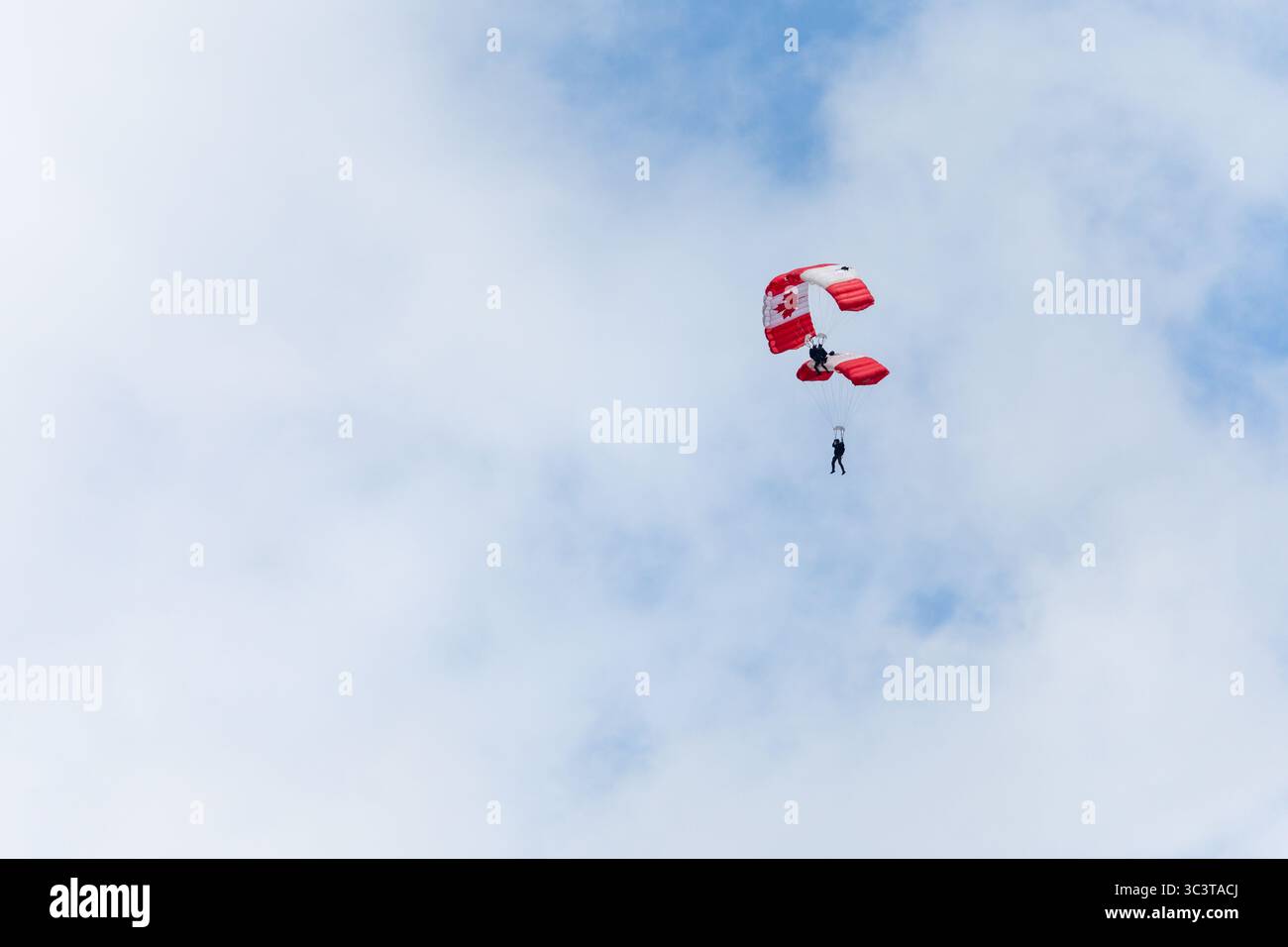 Members of the Canadian Armed Forces military parachute demonstrations ...