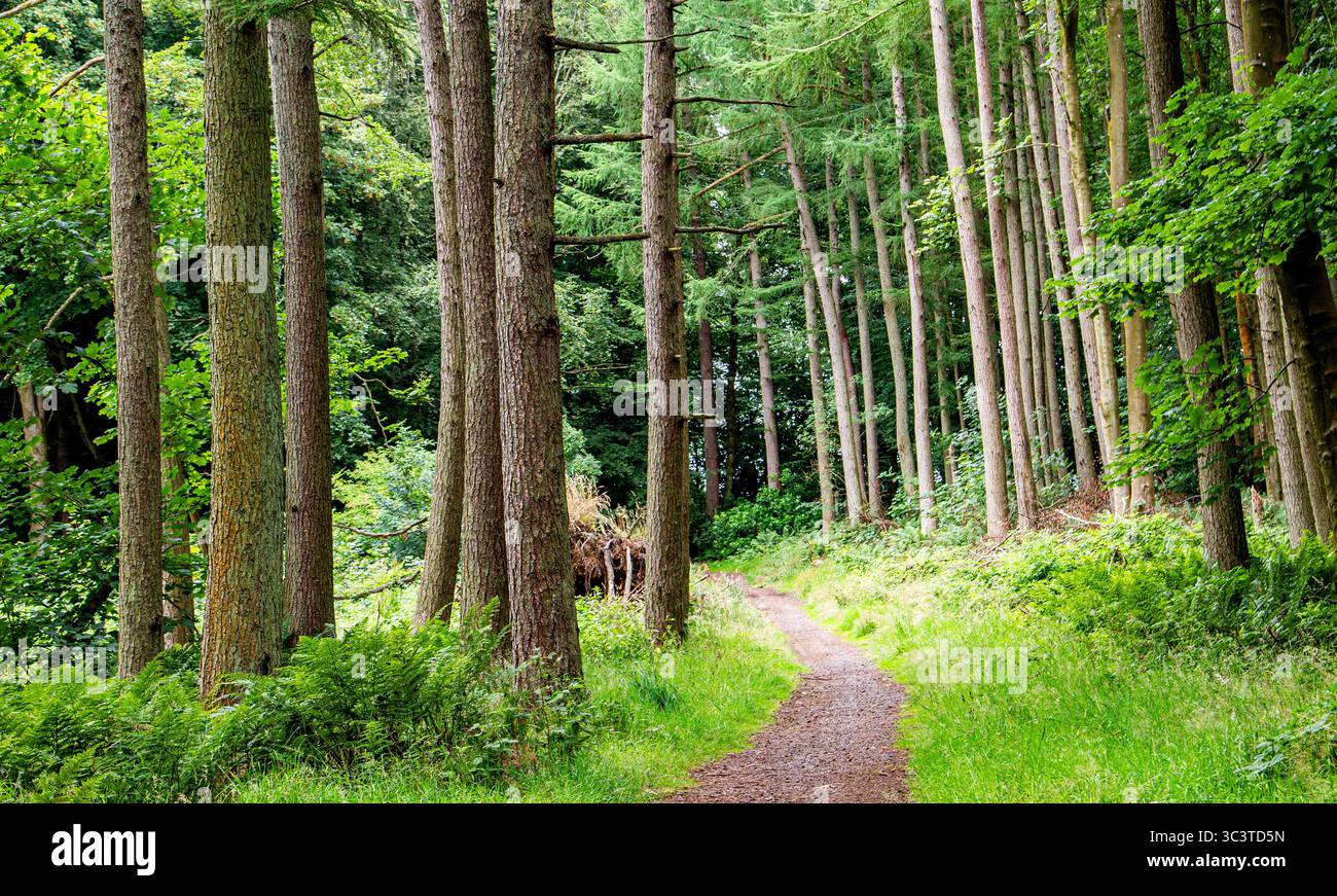 Breezy and damp weather scotland hi-res stock photography and images ...