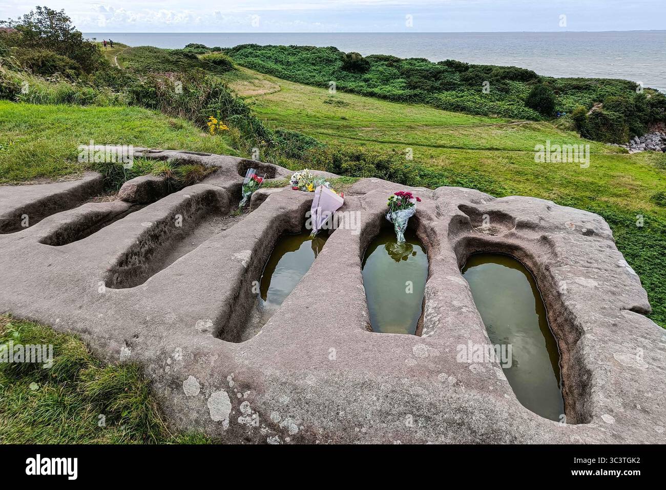 Ozzy osbourne album cover hi-res stock photography and images - Alamy