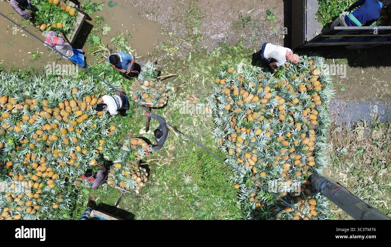 (250727) -- TANGAIL, July 27, 2025 (Xinhua) -- An aerial drone photo ...