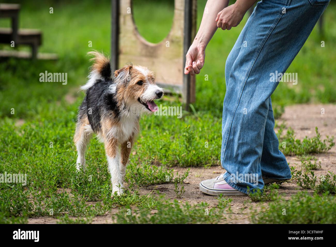 Scruffy woman and exercise hi-res stock photography and images - Alamy