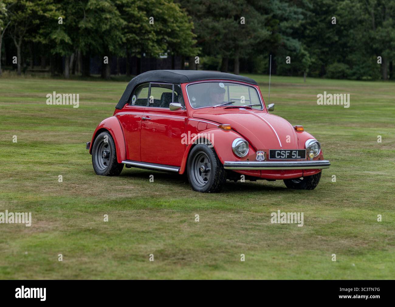 Vintage Volkswagen Beetle. Colourful icon of counter culture with ...