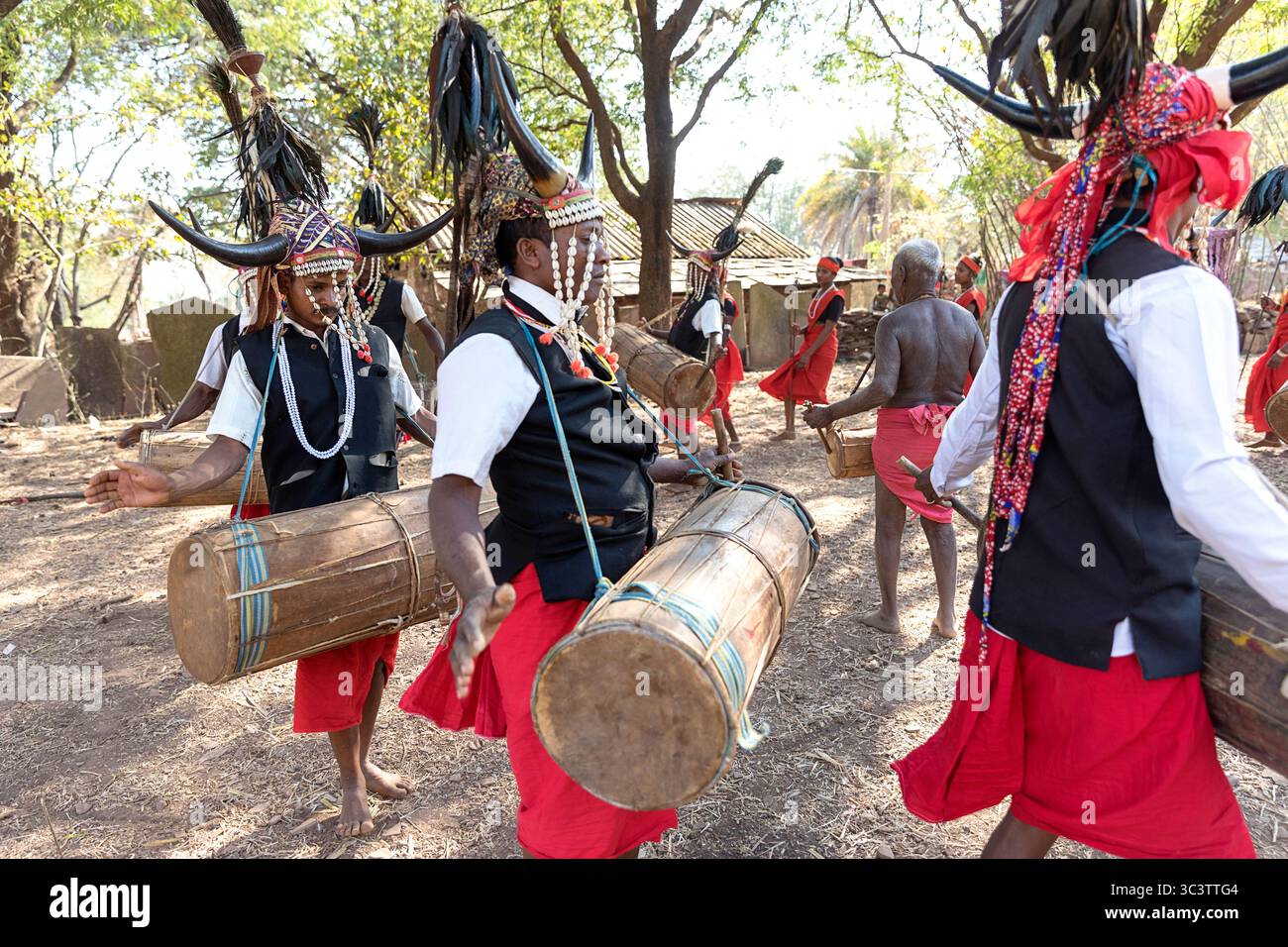 Bison-Horn Maria Tribe people in traditional costumes performing ...