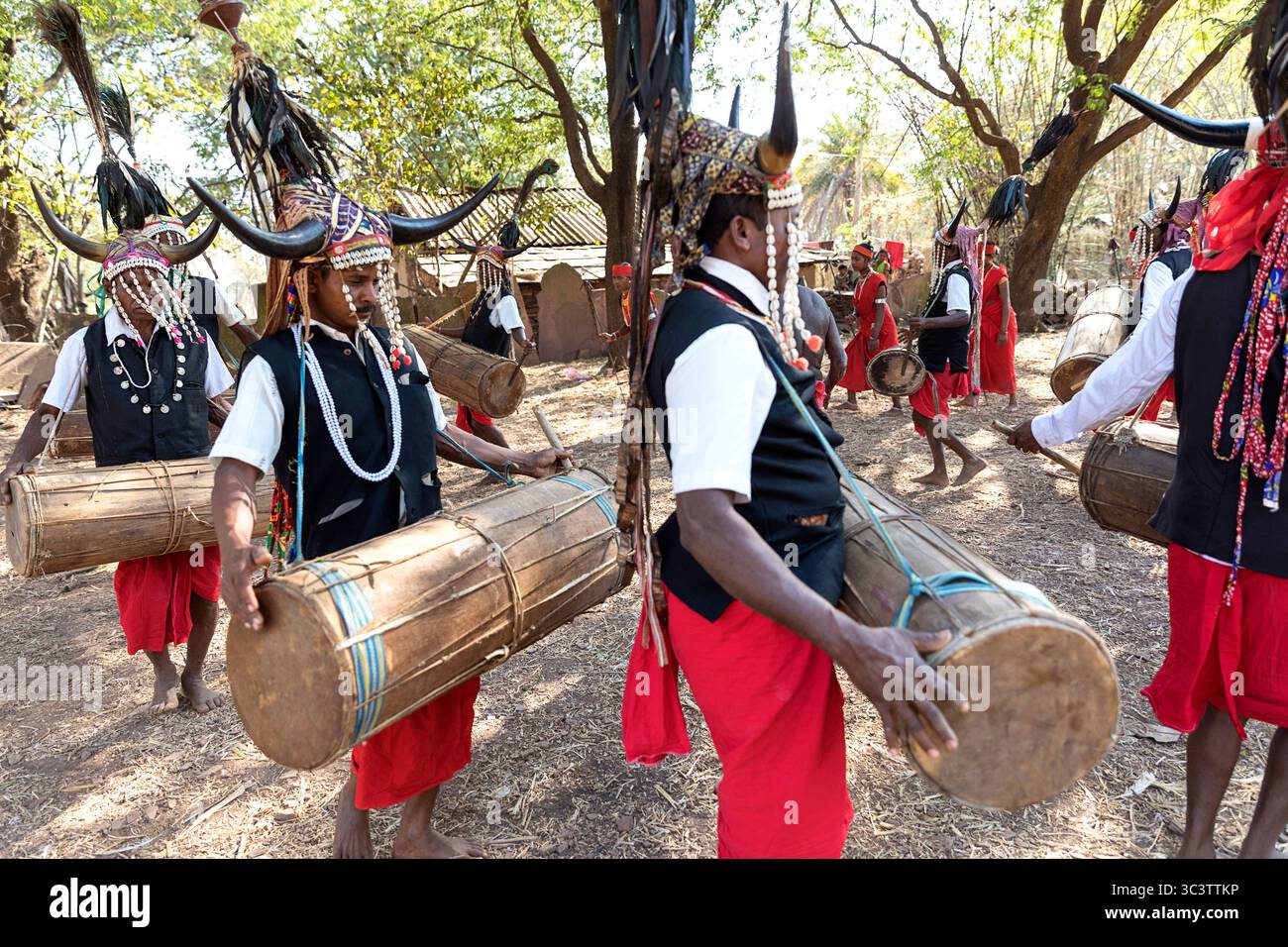 Bison-Horn Maria Tribe people in traditional costumes performing ...