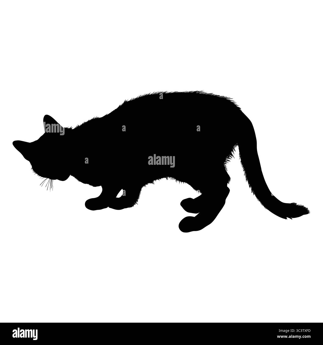 Cat in wild walking Stock Vector Images - Alamy