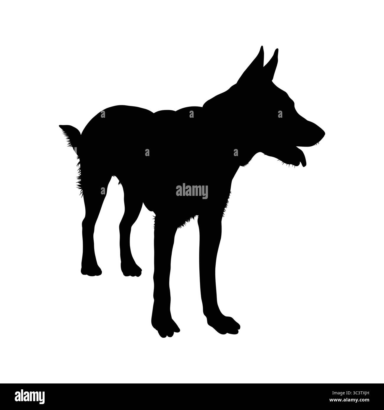 Vector black silhouette standing Black and White Stock Photos & Images ...