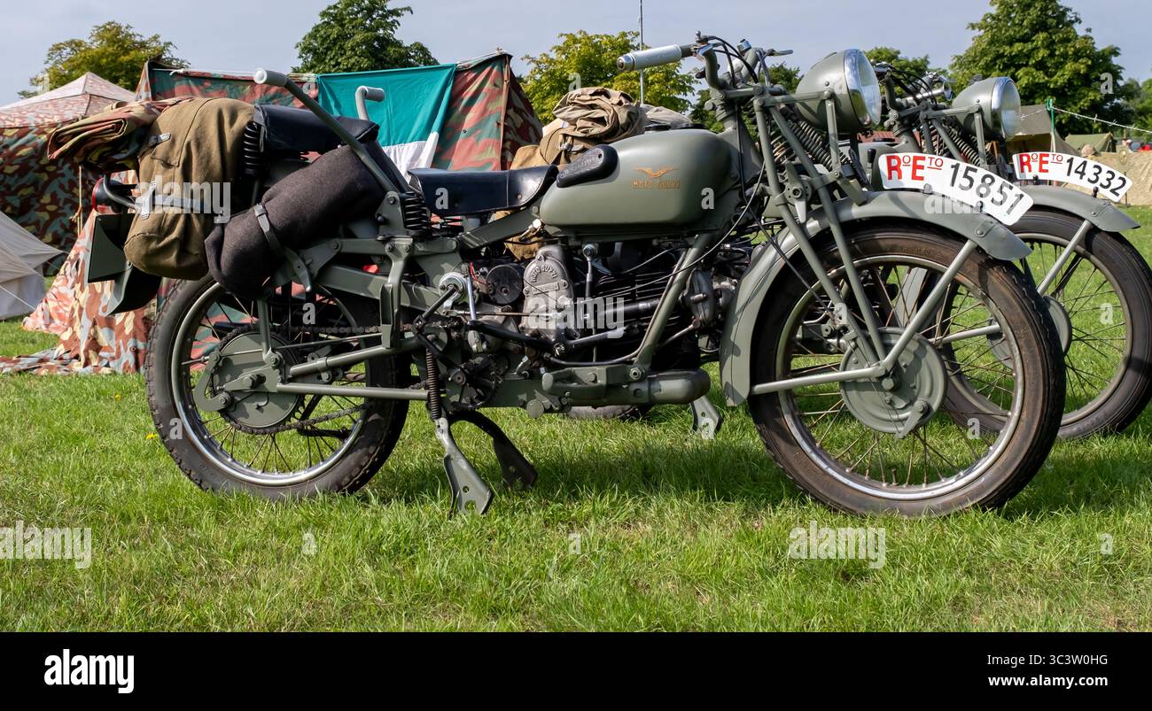 Super alce hi-res stock photography and images - Alamy