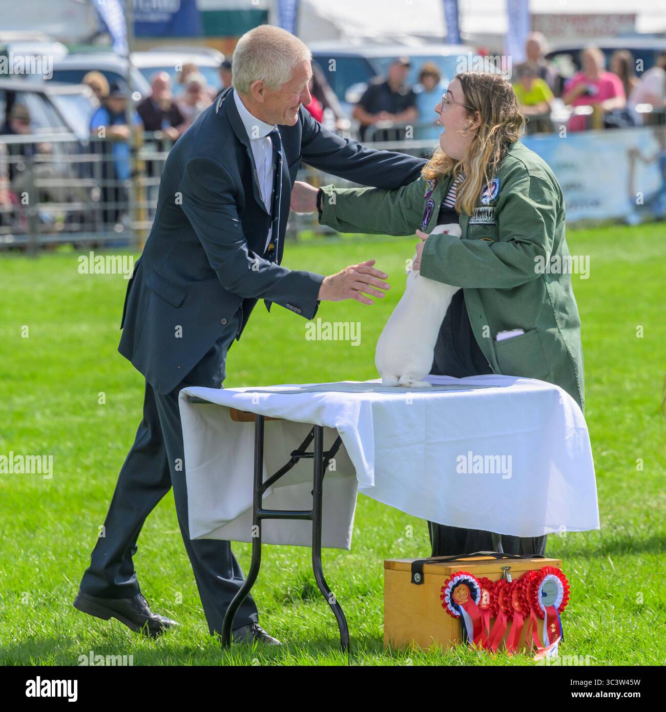 Border Union Show, Kelso ‘Bert' the white rabbit, scooped to top ...