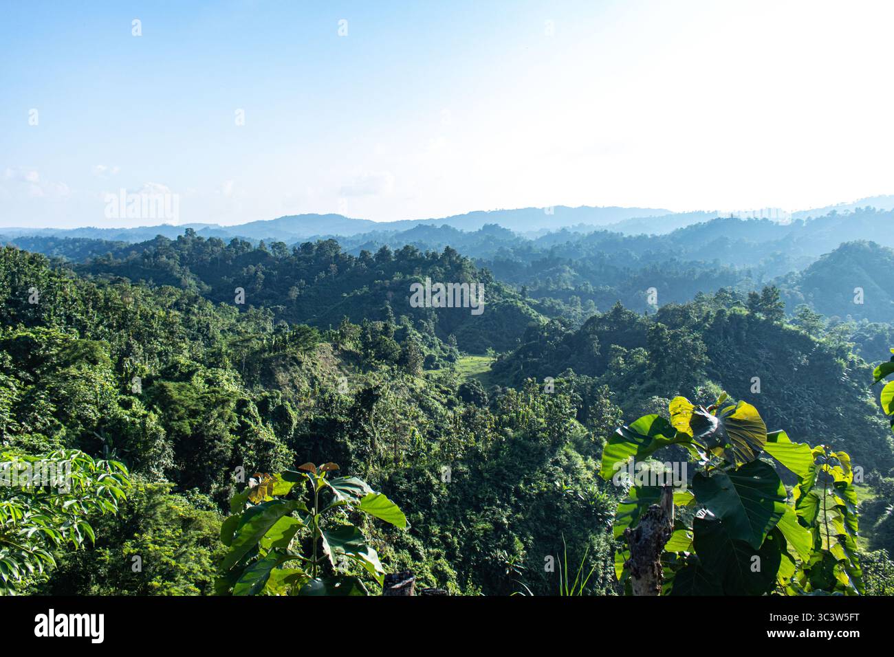 Scenic view lush green landscape hi-res stock photography and images ...