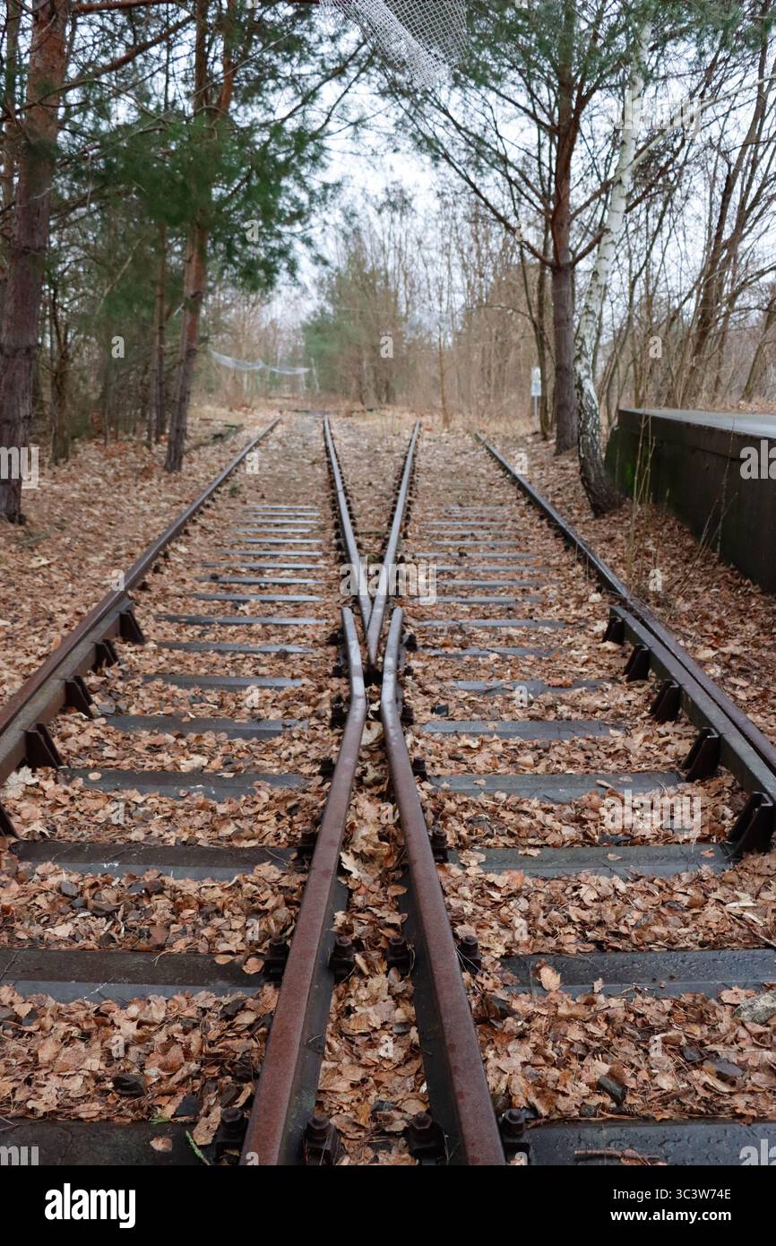 Train tracks at the Platform 17 Memorial at Grunewald Station (Das ...