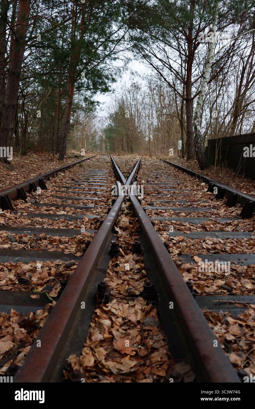Train tracks at the Platform 17 Memorial at Grunewald Station (Das ...