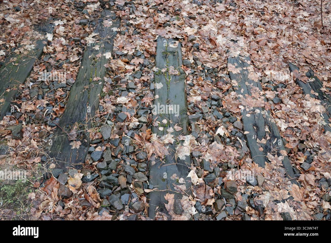 Train tracks at the Platform 17 Memorial at Grunewald Station (Das ...