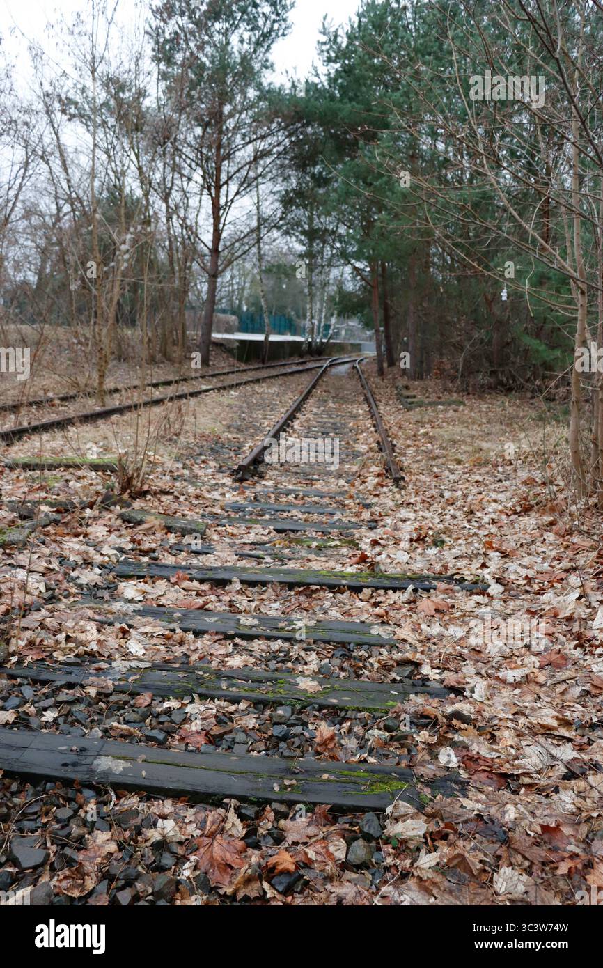 Train tracks at the Platform 17 Memorial at Grunewald Station (Das ...