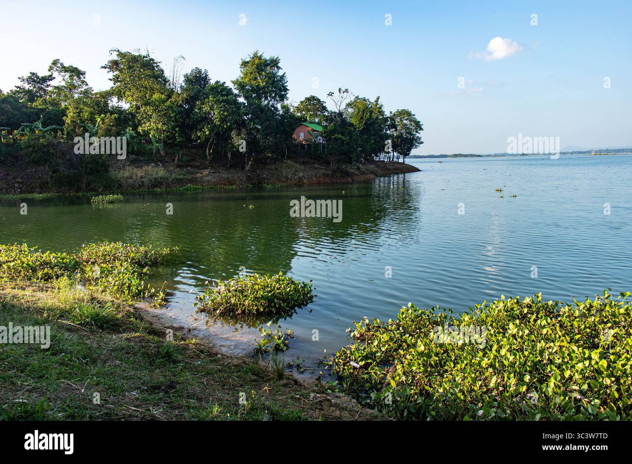 Green canopy reflecting on mirror-like lake water Stock Photo - Alamy
