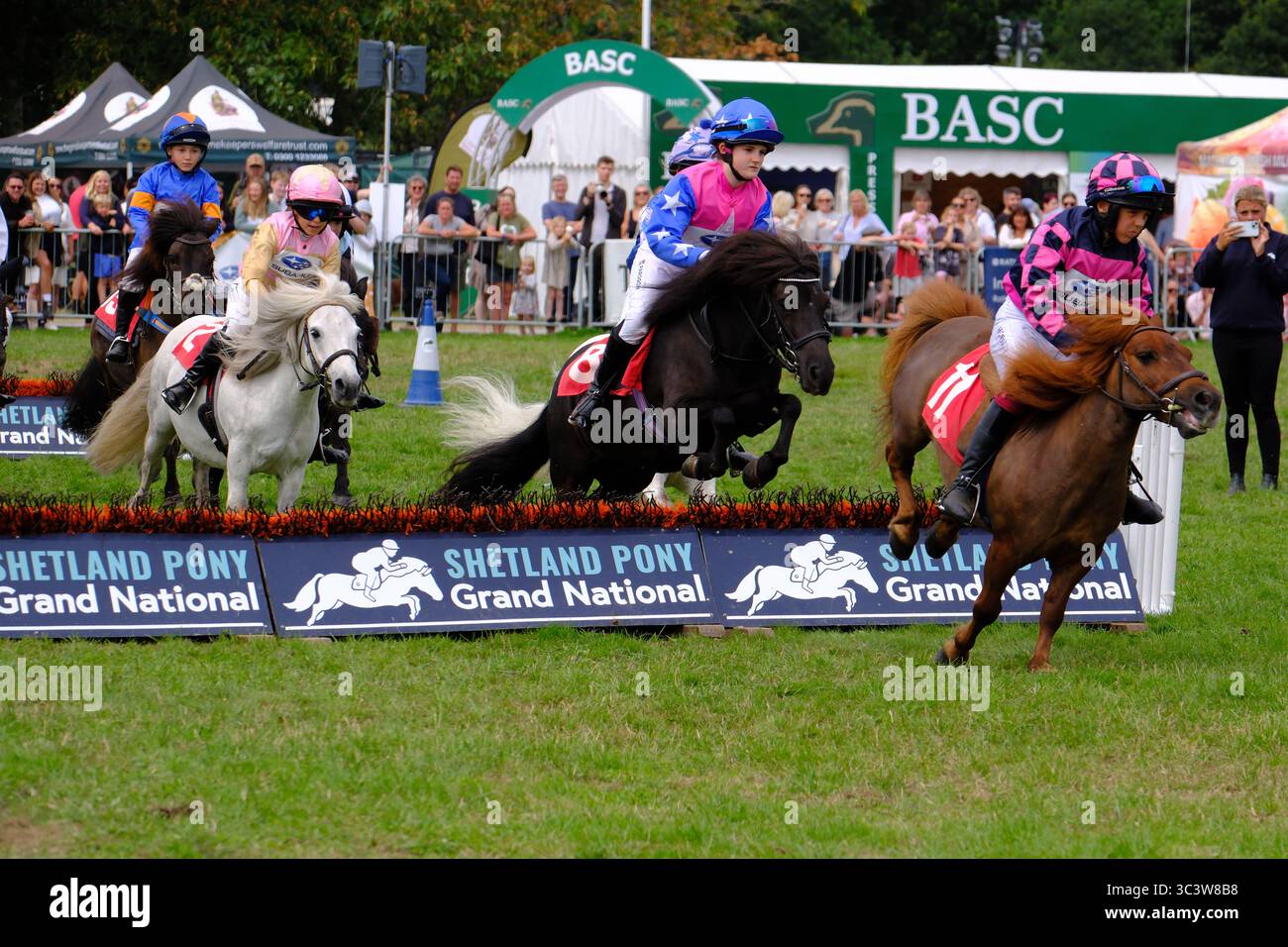 Game fair ragley hi-res stock photography and images - Alamy