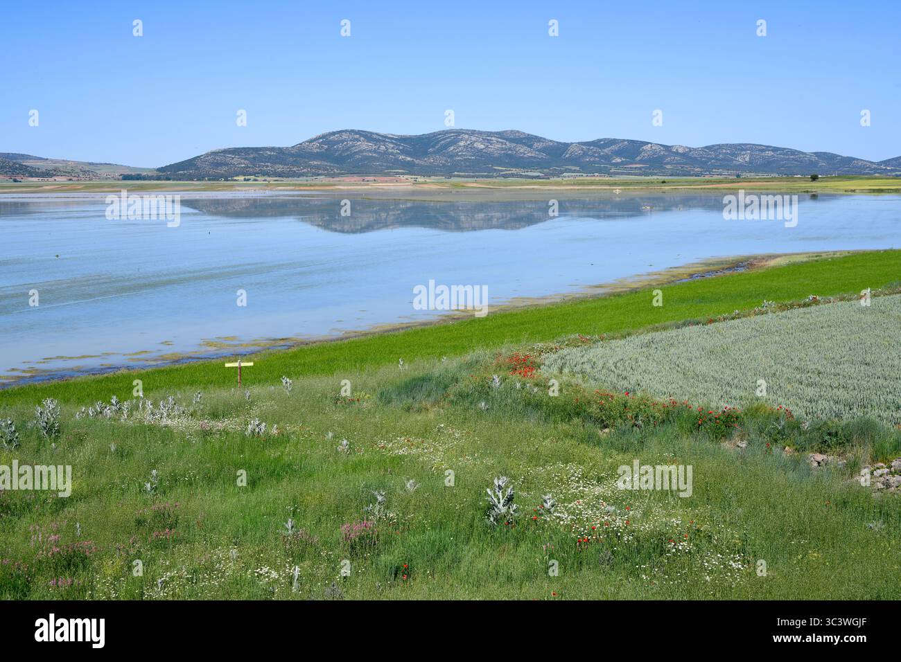 La zaida lagoon hi-res stock photography and images - Alamy