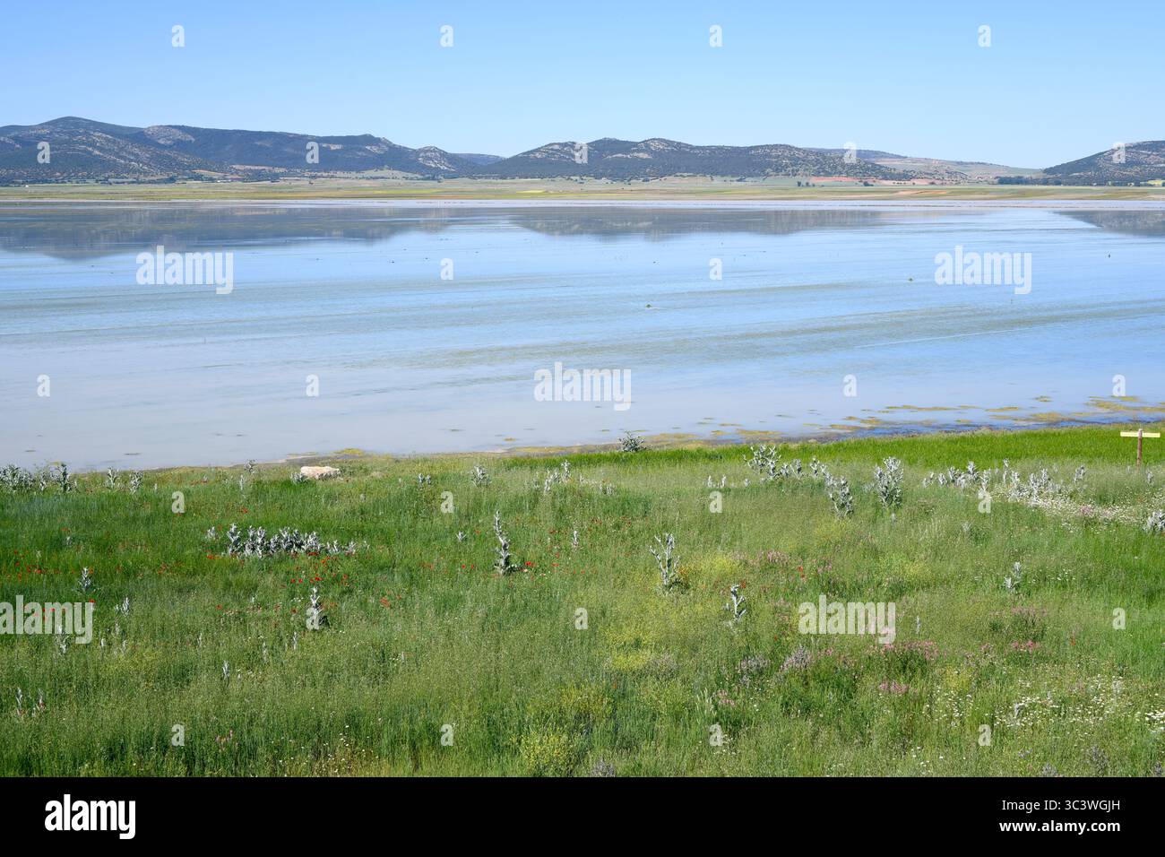 La zaida lagoon hi-res stock photography and images - Alamy