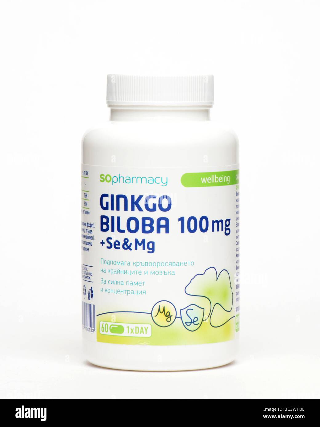 Ginkgo biloba container hi-res stock photography and images - Alamy