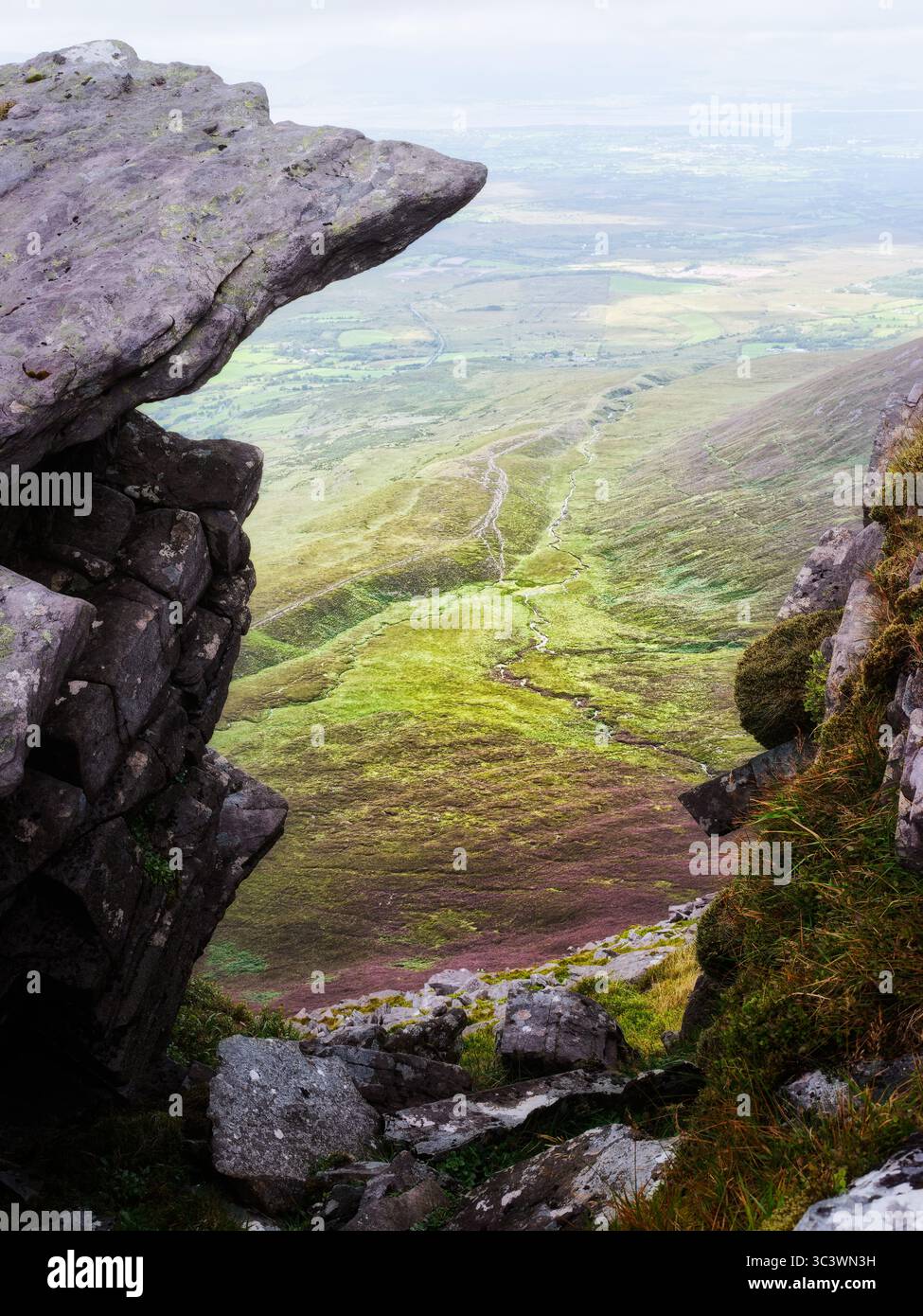 Lush green valley below hi-res stock photography and images - Alamy