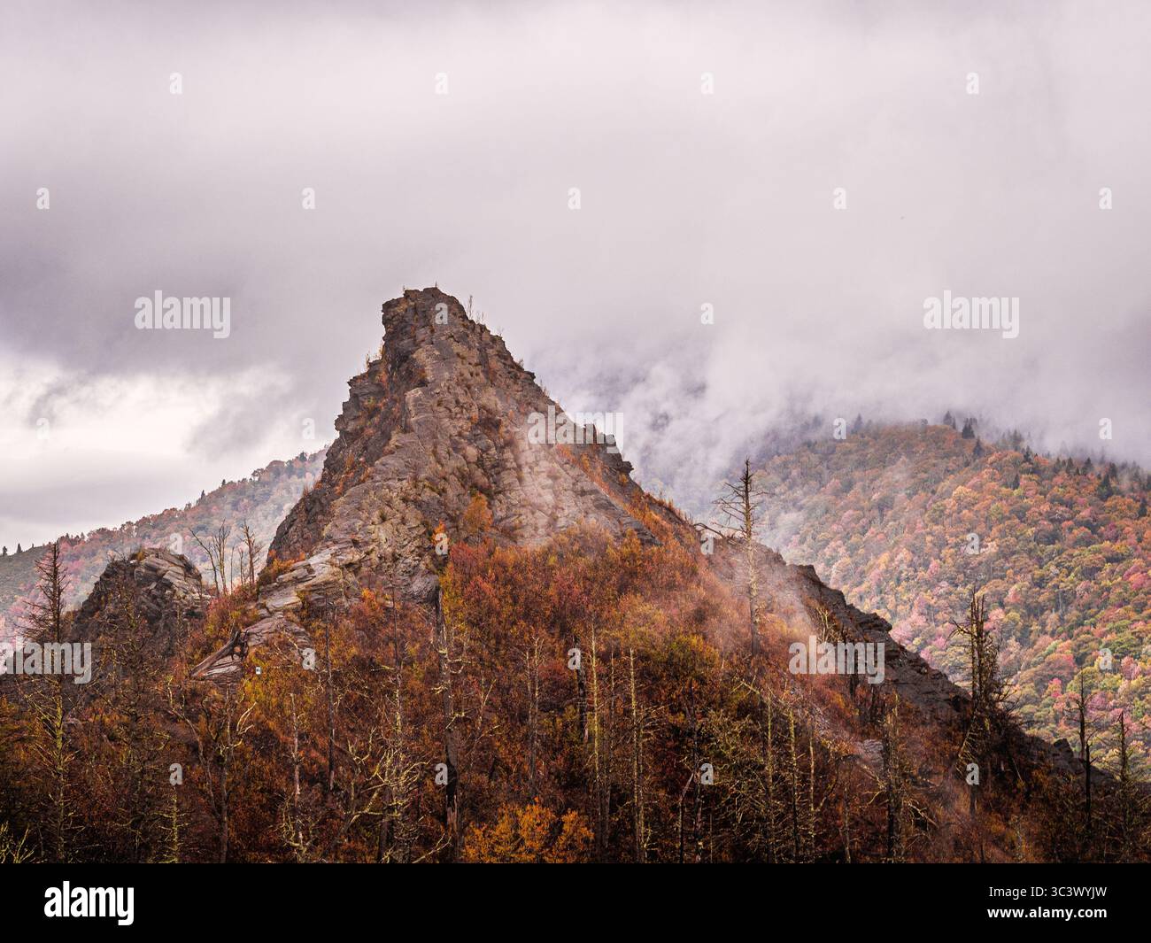 Vibrant fall foliage surrounds hi-res stock photography and images - Alamy