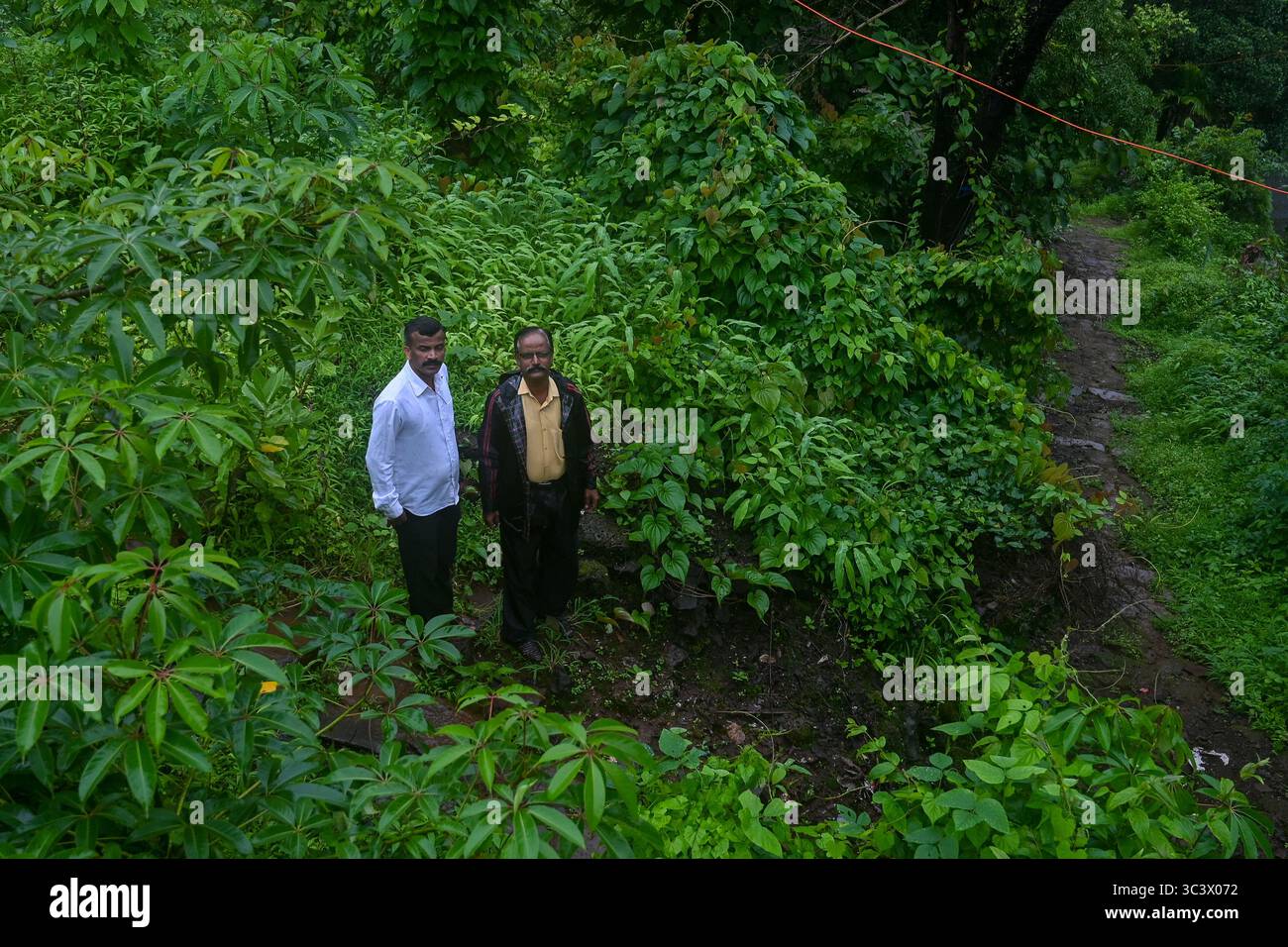 RATNAGIRI, INDIA - JULY 27: A villager is showing the ancient road in ...