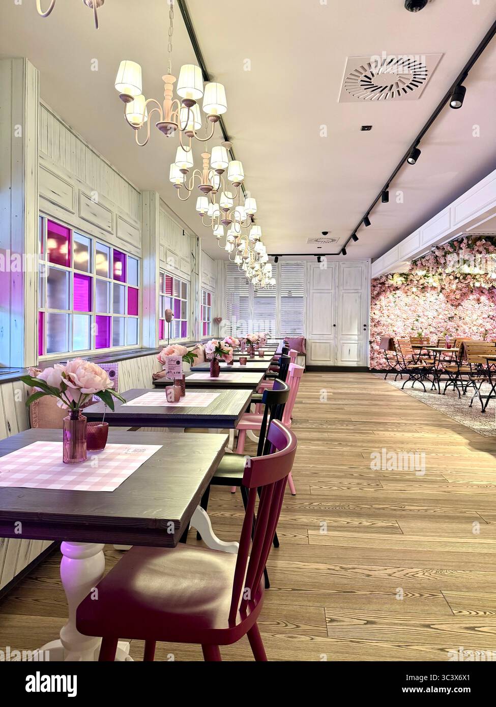 Stylish floral arrangements in vibrant hi-res stock photography and ...