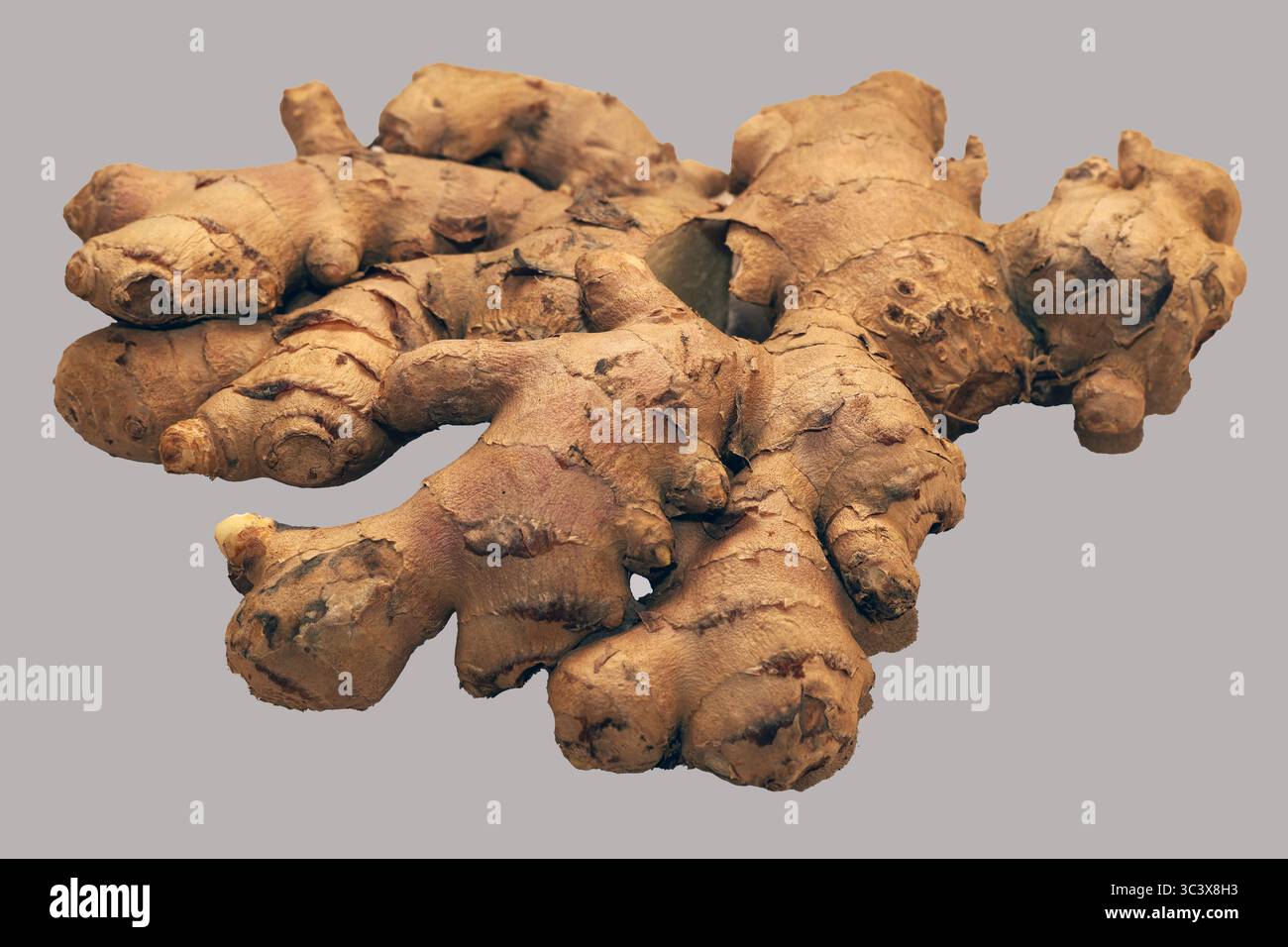 Ingwer zur vielfältigen Anwendung BEARBEITET: Eine Ingwerwurzel zur ...