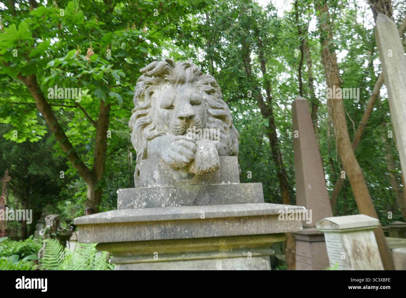London, England 29th May 2025 George Wombwell Grave with Lion Statue at ...