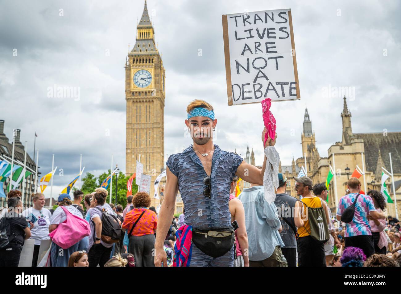 Protester holding placard in front of the Palace of Westminster during ...