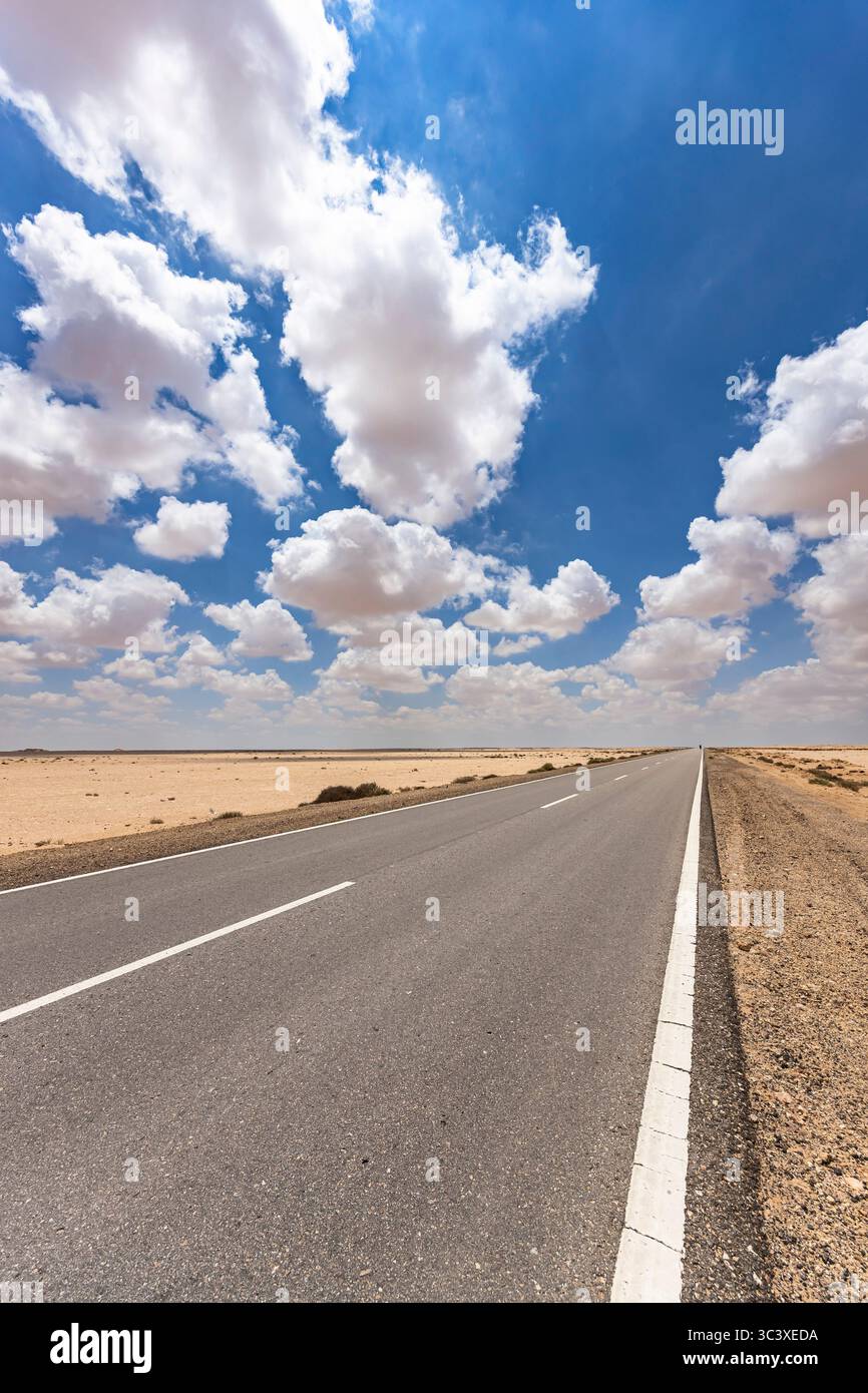 Desert road, Libyan desert (part of Sahara), between Siwa Oasis and ...