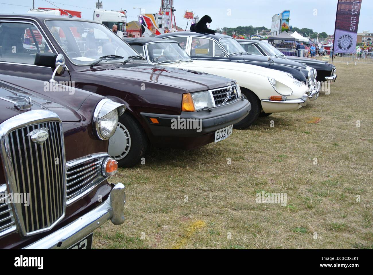 A line of classic cars parked on display at the English Riviera classic ...