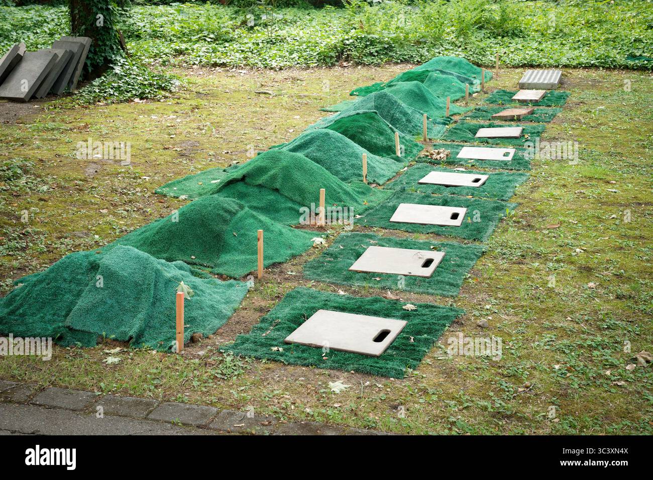 A series of prepared urn graves with grass mats on the excavation and ...