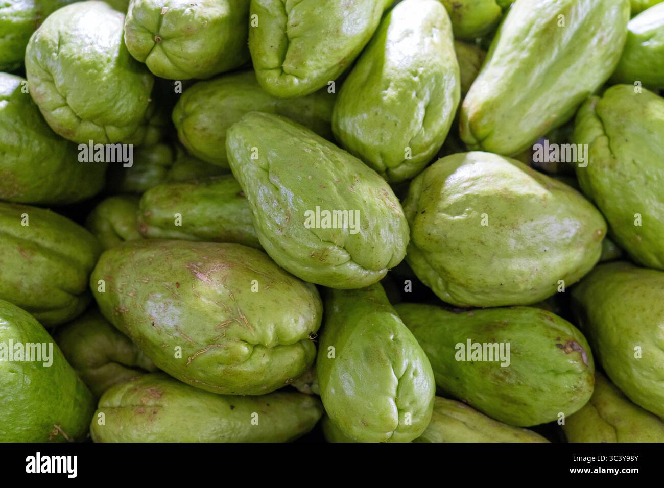 Sayote vegetables piled up in the market, also known as chayote Stock ...