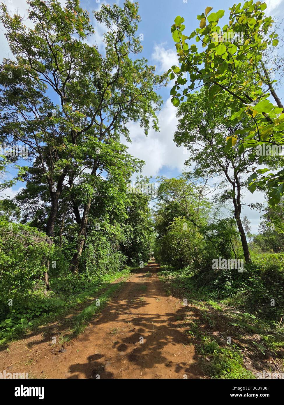 Natural photography with my samsung galaxy s25 camera hi-res stock ...