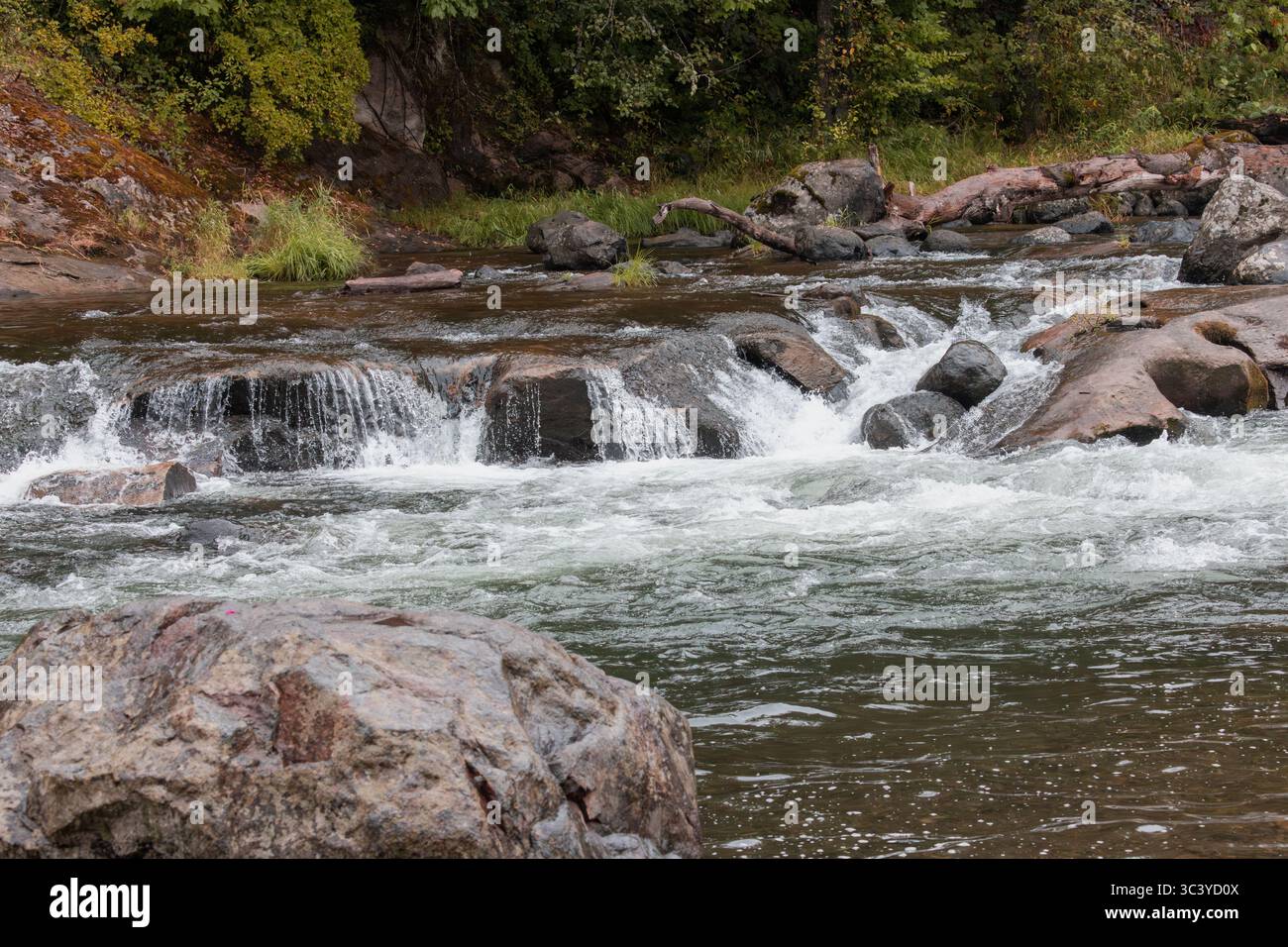 Green River Waterfalls and Boulder-Filled Forest Bank Stock Photo - Alamy