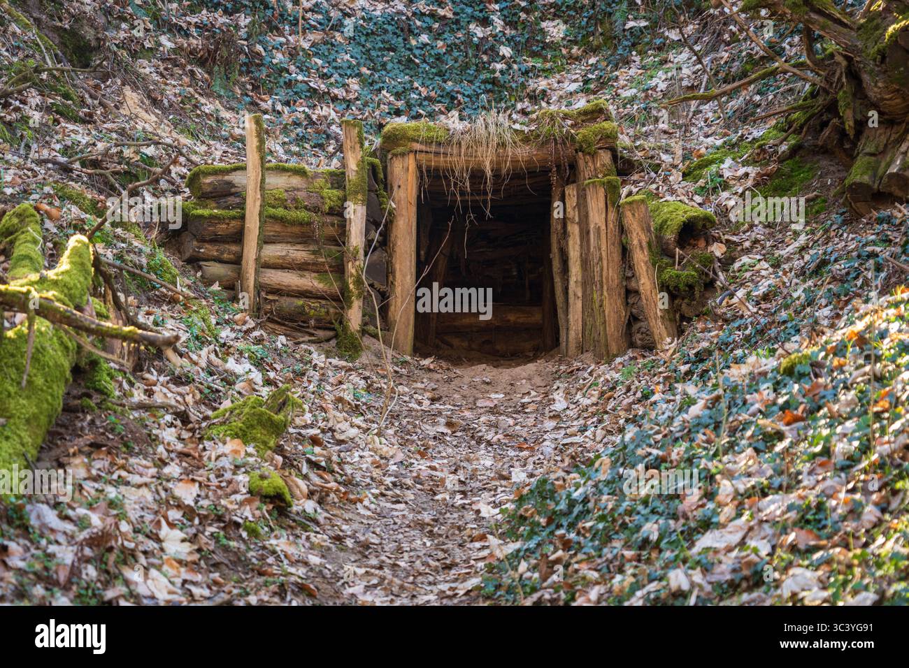 Command post position hi-res stock photography and images - Alamy