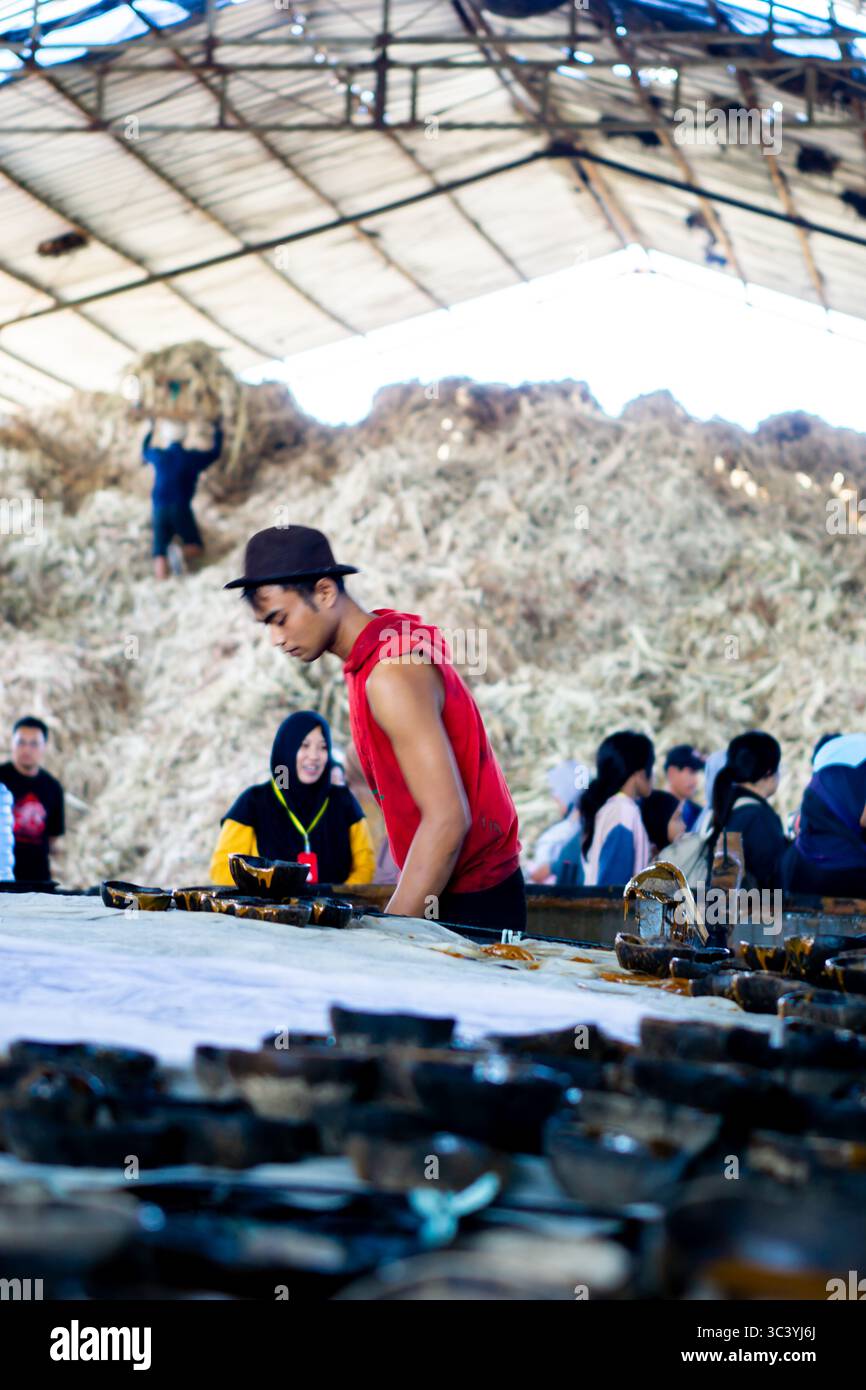 The process of making brown sugar. Brown sugar is made from sugar cane ...