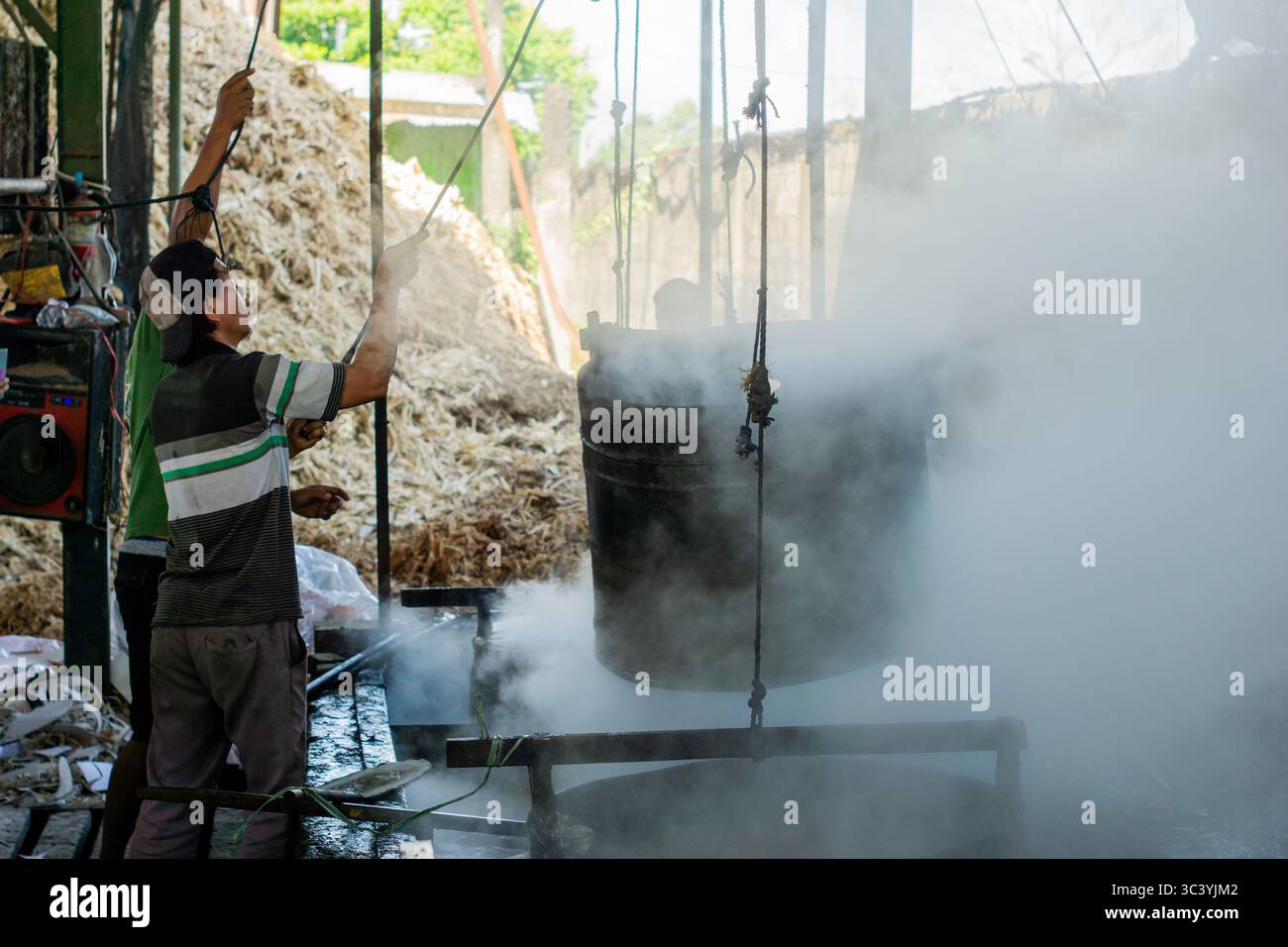 The process of making brown sugar. Brown sugar is made from sugar cane ...