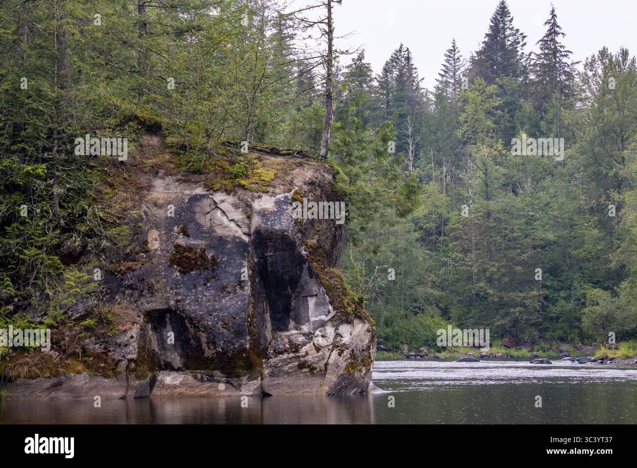 Plants above rock hi-res stock photography and images - Alamy