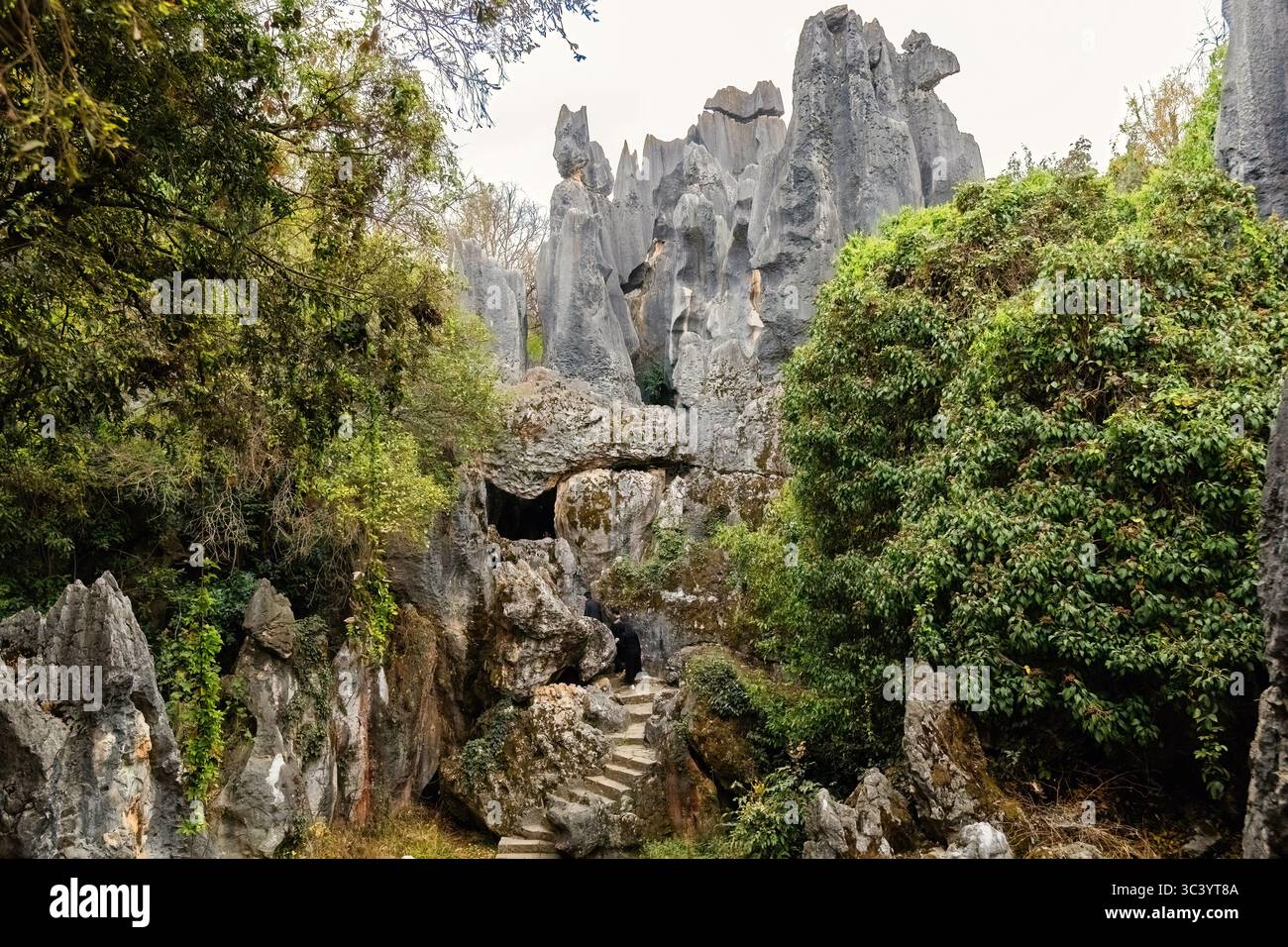 Shilin Stone Forest in Yunnan province China Stock Photo - Alamy