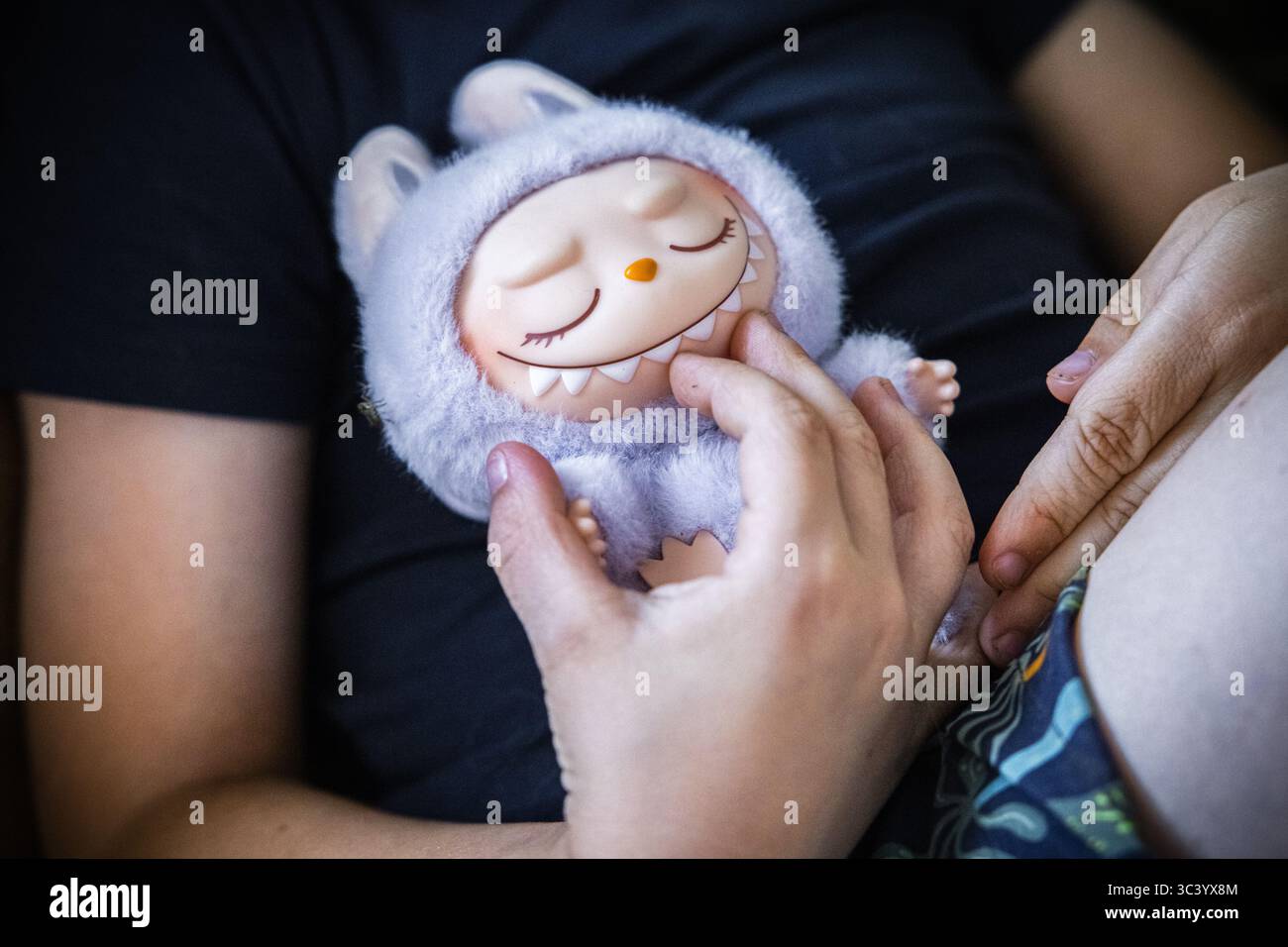 ILLUSTRATIVE - A Labubu soft toy from a blind box. Labubu dolls are a ...