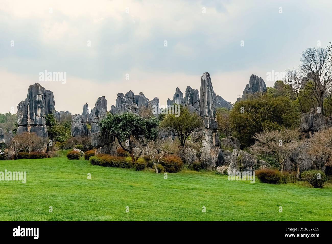 Shilin Stone Forest in Yunnan province China Stock Photo - Alamy