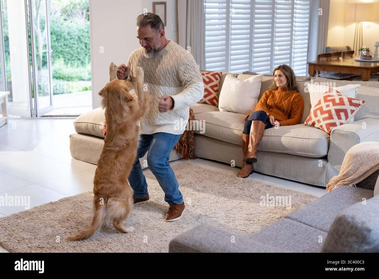 Couple encouraging golden retriever balancing on hind legs on plush rug ...