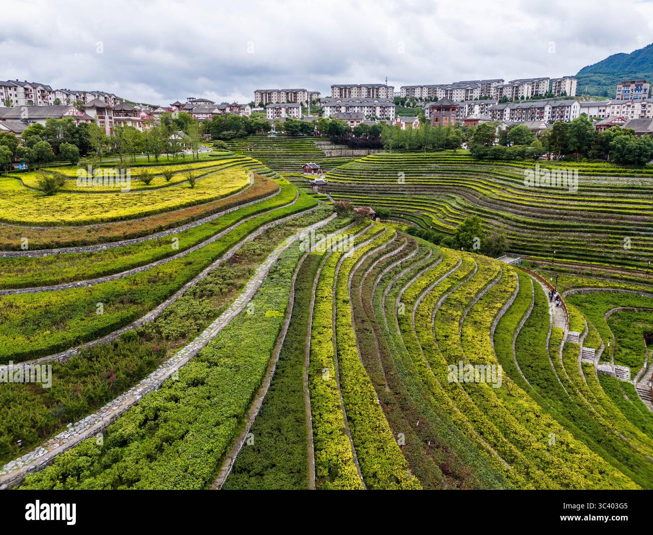 Aerial photo shows the terraced fields in Bijie City, southwest China's ...