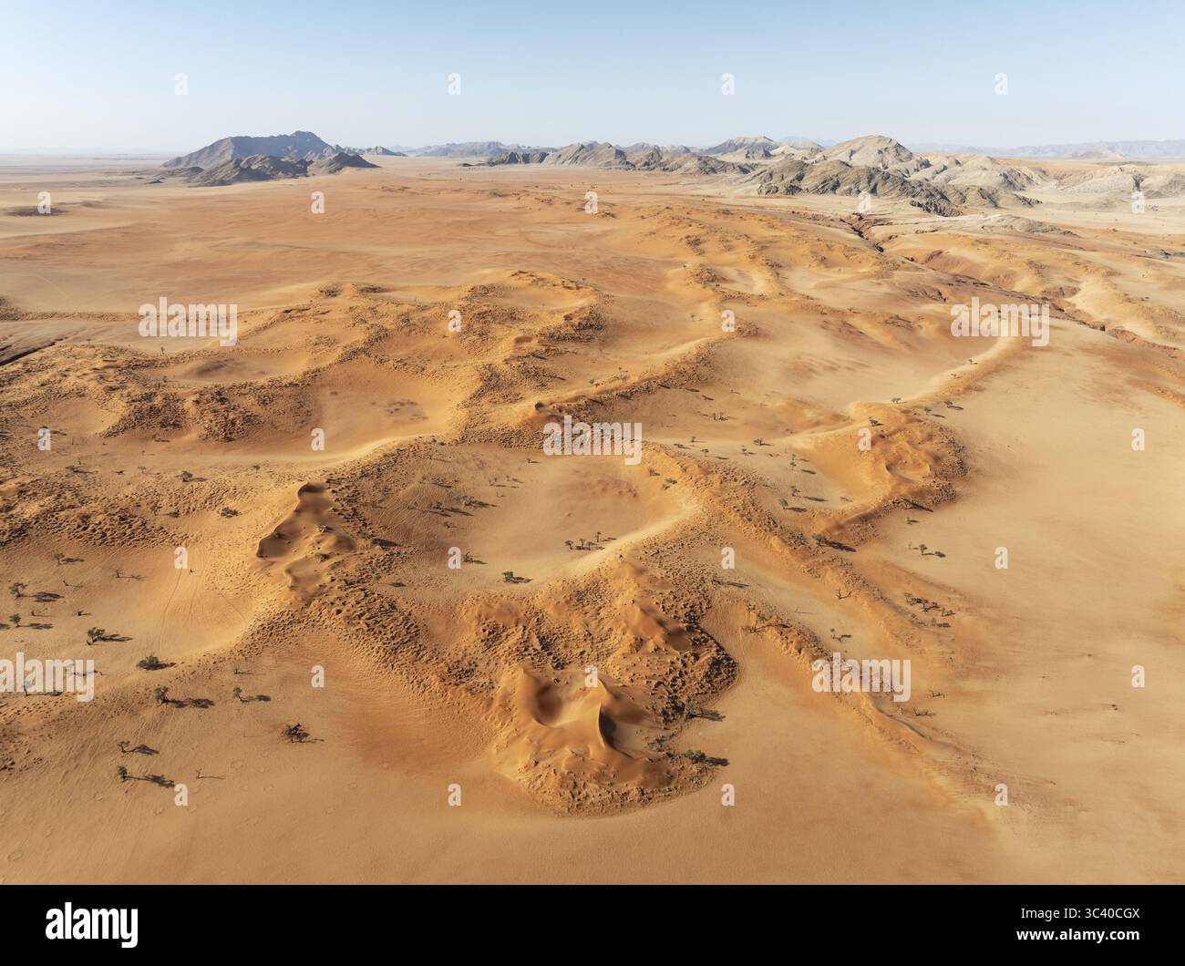 Aerial view of sun-kissed dunes ripple across the arid landscape ...