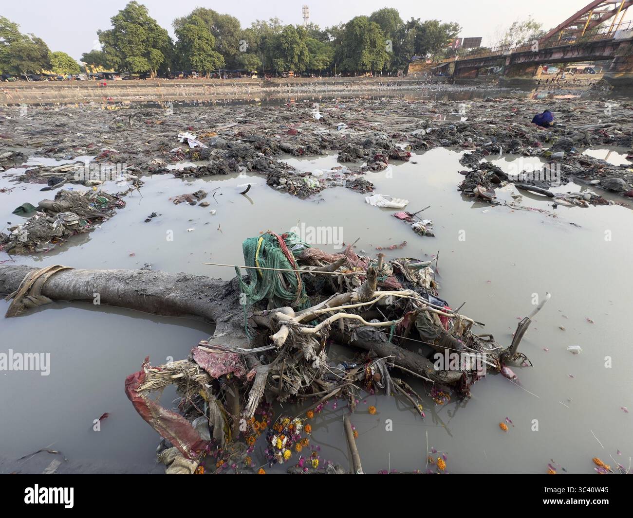 Water covered with rubbish and rubbish, rubbish floating, tree trunk ...