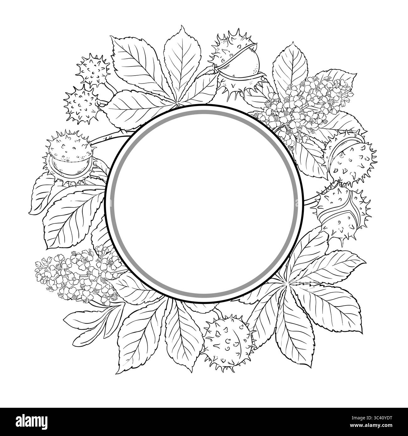 Chestnut branch leaves isolated Black and White Stock Photos & Images ...